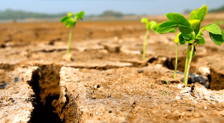 Scientist Predict Mega-Droughts for the Future of Western U.S.